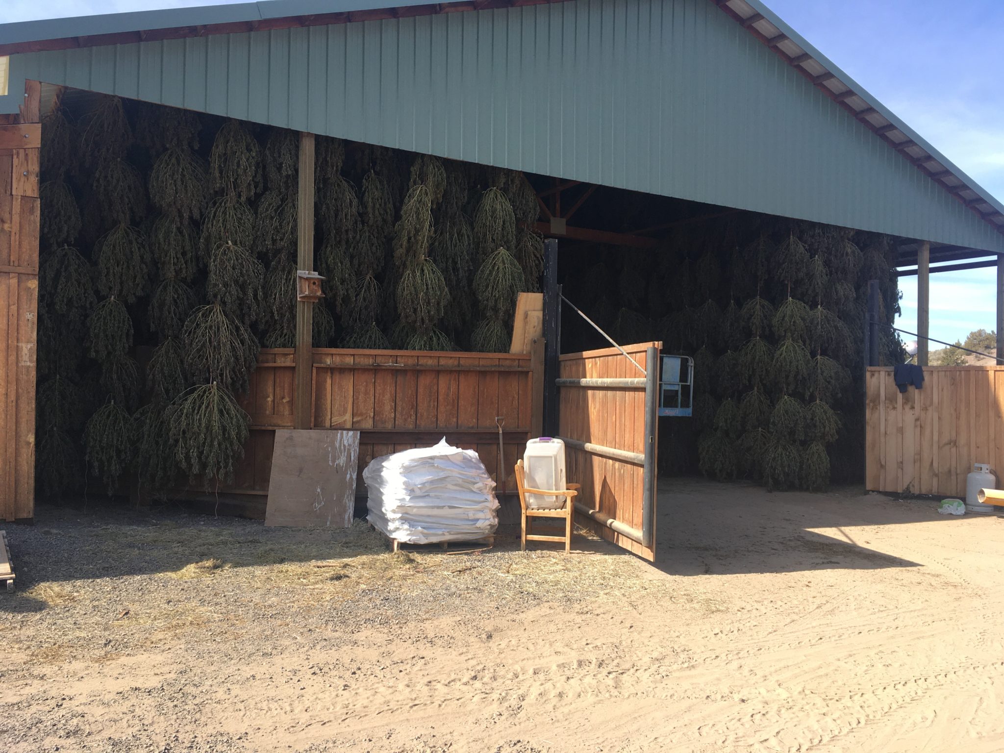 Hemp Harvest | Green Method Farms